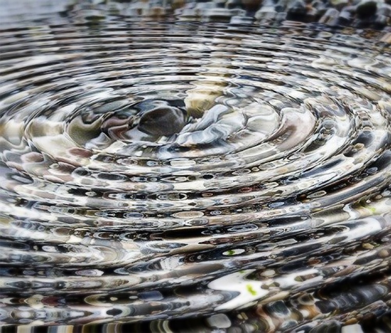 The Goodwin Foundation